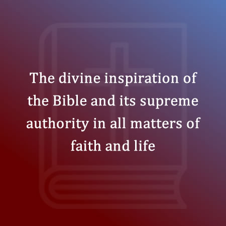 About New Zealand Christian Network | NZ Christian Network