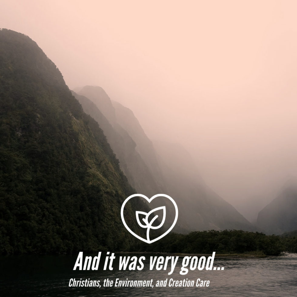 Christians, the Environment, and Creation Care | NZ Christian Network